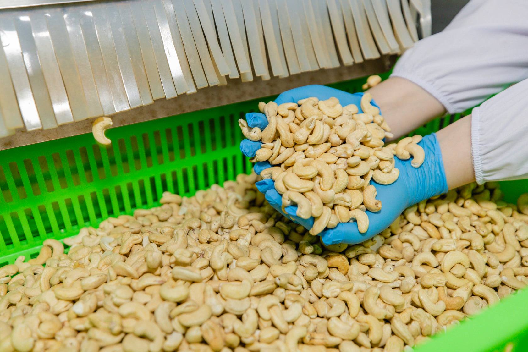 NUTRITIONAL COMPOSITION OF CASHEWS - Cashew