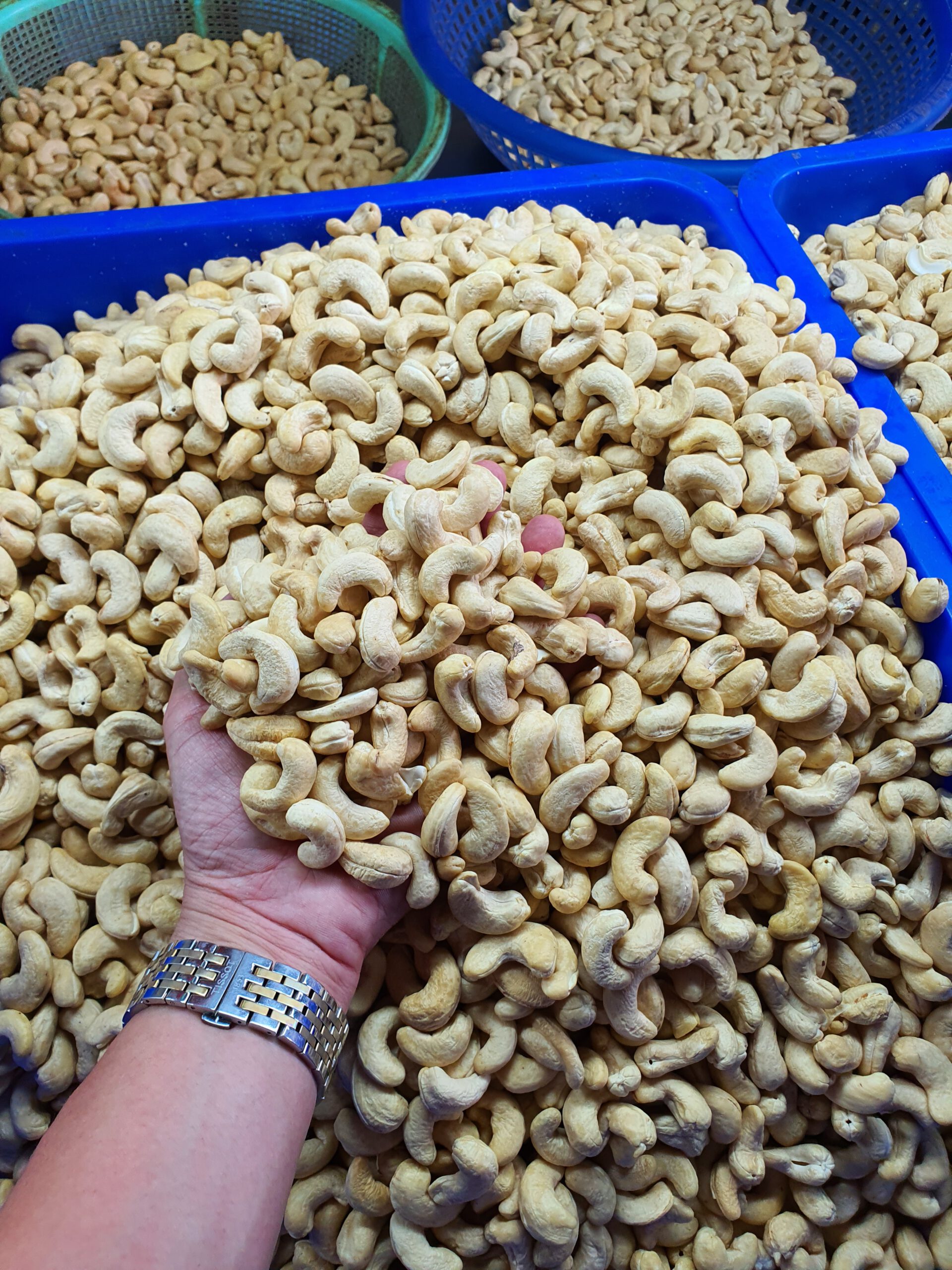 HOW TO PRESERVE CASHEWS - Cashew